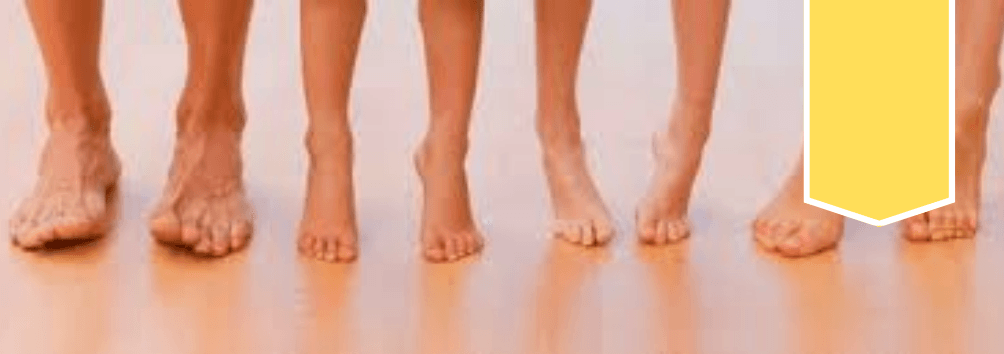 PROFAM (2) – Fundación MF